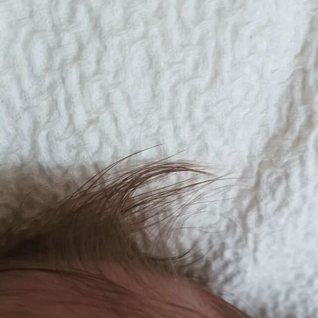 Birth Story – Holistic support for pregnancy, birth and new parenthood